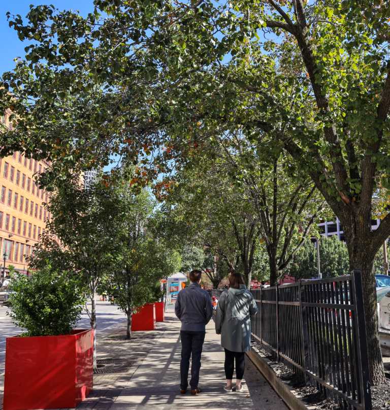 Urban Tree Canopy Assessment Update Tree Canopy Land Use Regulation