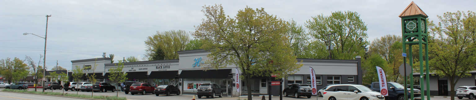 Lorain Road Business District Revitalization Plan – Cuyahoga County ...